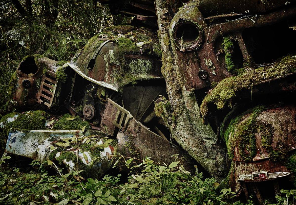 Forest Punk, quando la ruggine diventa arte - Ruoteclassiche