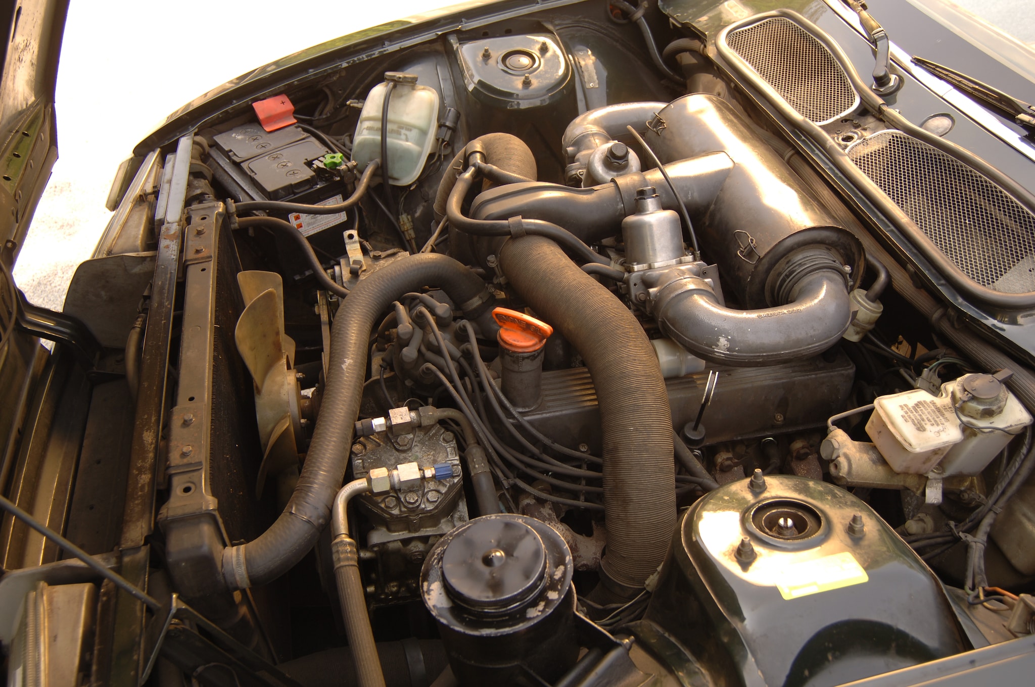 Rover V8, con l'America nel cuore - Ruoteclassiche
