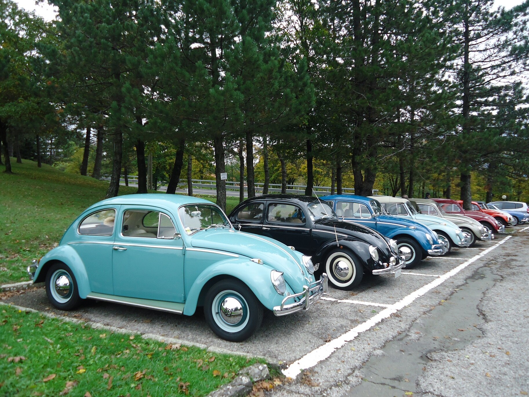 Samba Summit sulla Linea Gotica - Ruoteclassiche